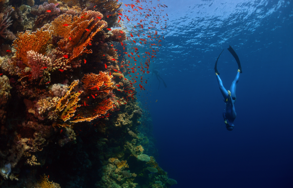 Freediving Training Tips for 2023