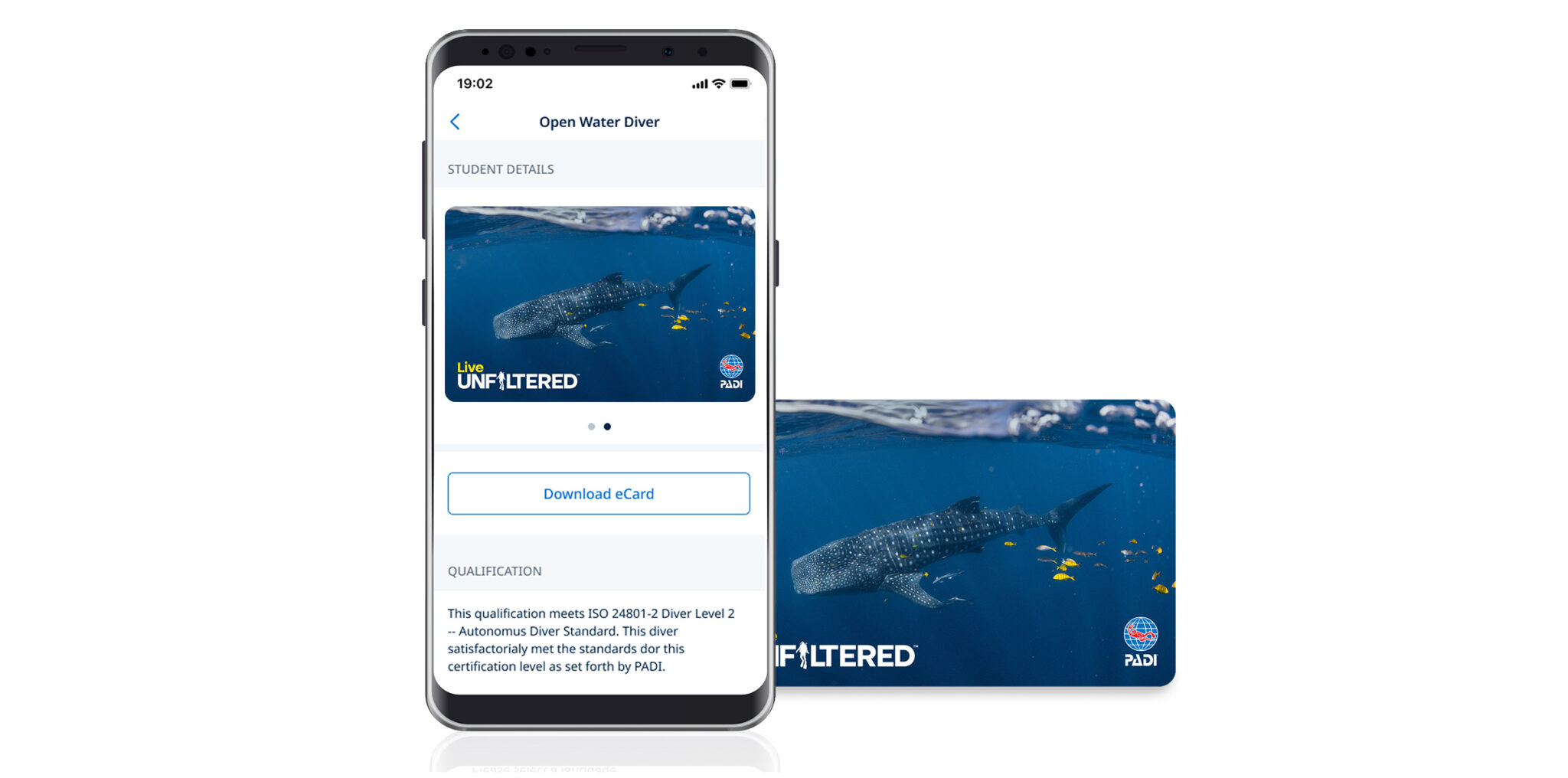 2023 PADI Certification Cards - Which Design Is Right for You?