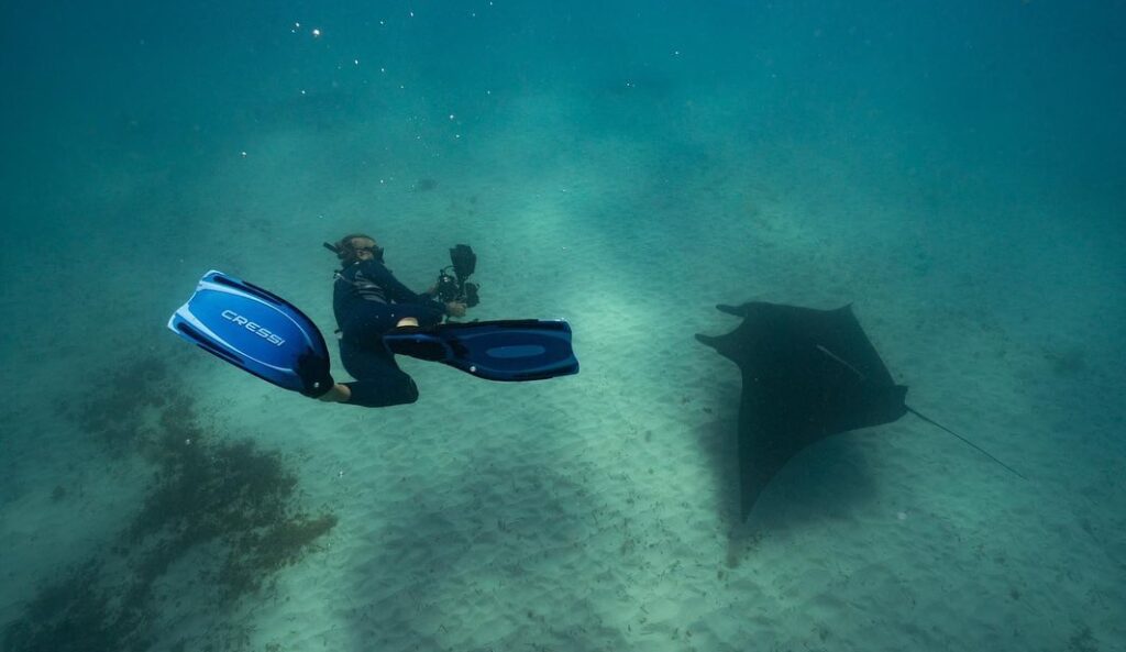 Introducing the New 2023 PADI AmbassaDivers