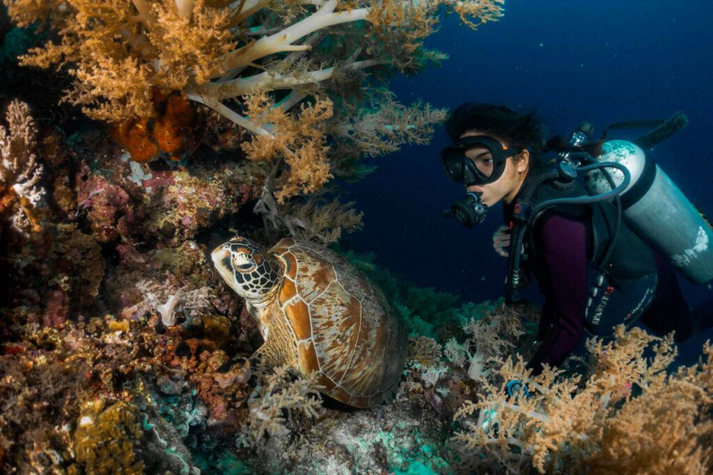 Die neuen PADI AmbassaDivers 2023