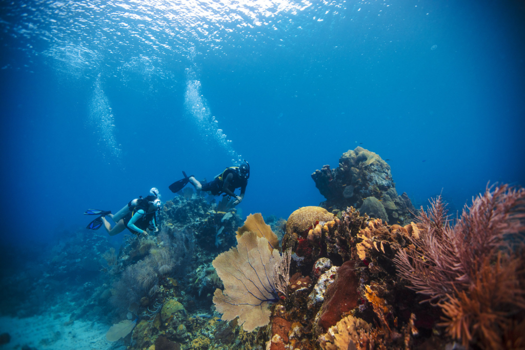 Scuba Diving Magazine Editors Recall Why They Learned To Dive