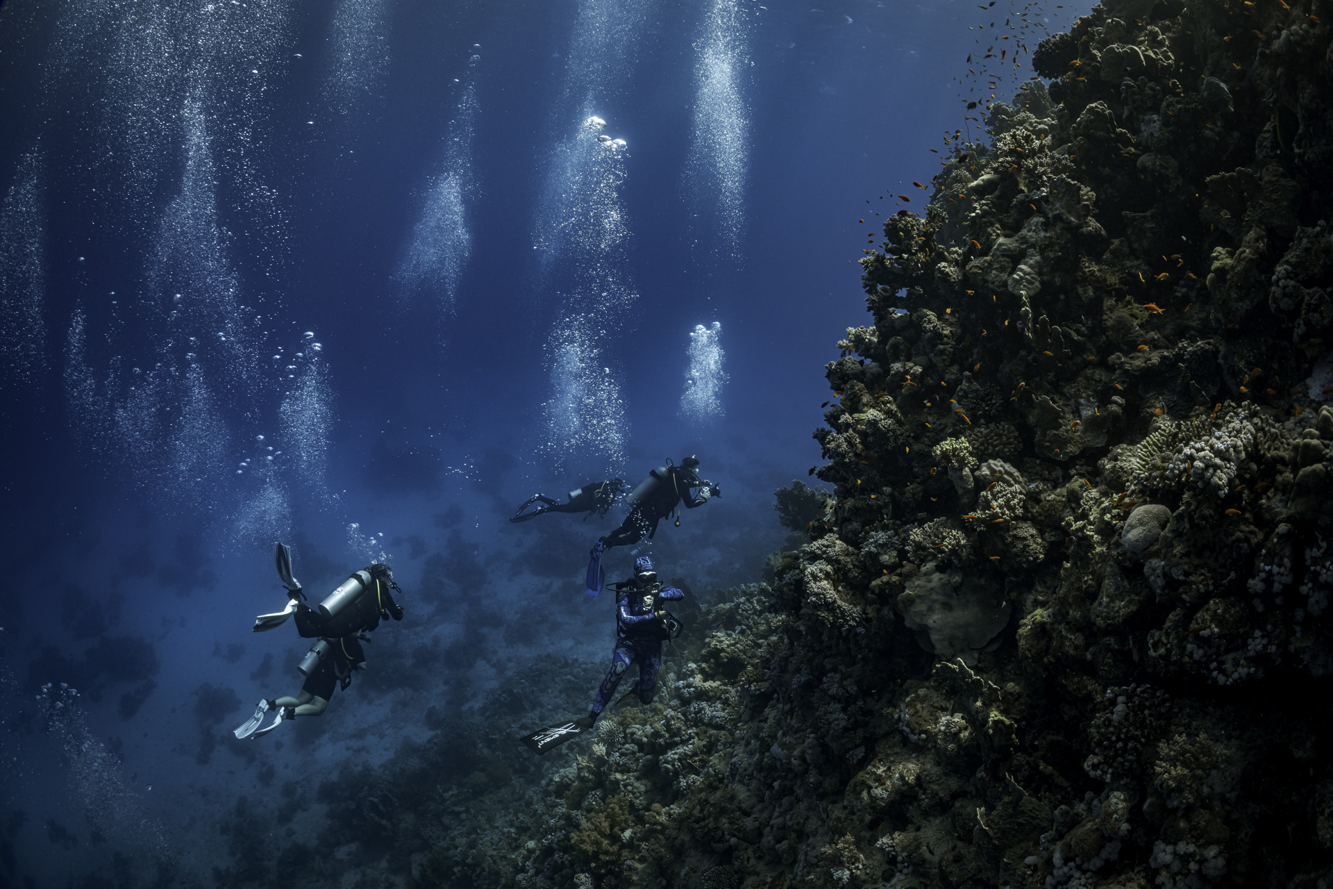PADI's Wins for the Sea in 2022