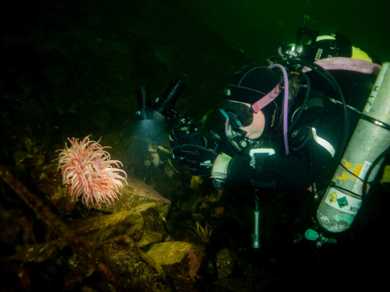 Night Diving Tips: How To Signal Your Buddy & Navigate