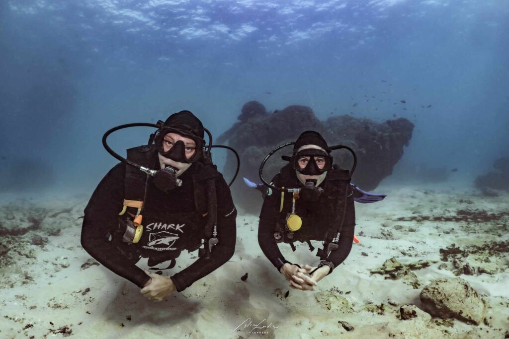 The 7 Best Ocean Conservation Organizations Making A Difference