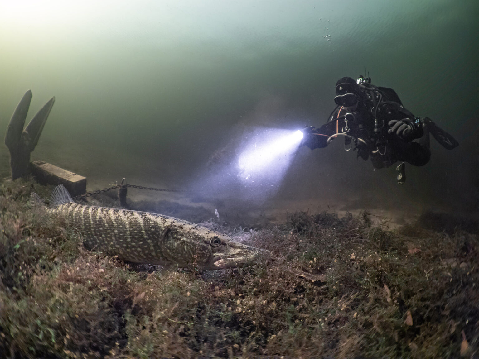Scuba Diving in the Netherlands - Exploring Underwater Wonders