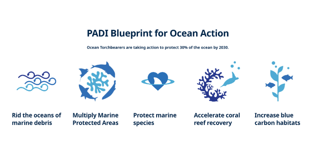 มามีส่วนร่วมในการอนุรักษ์มหาสมุทรและ PADI’s Blueprint for Ocean Action