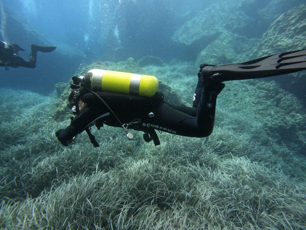 Following a Dream to Become a PADI Professional