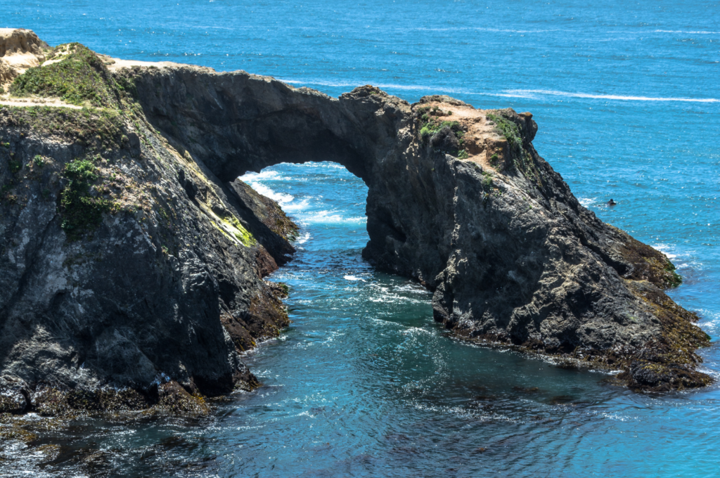 The Best Places To Go Scuba Diving in California