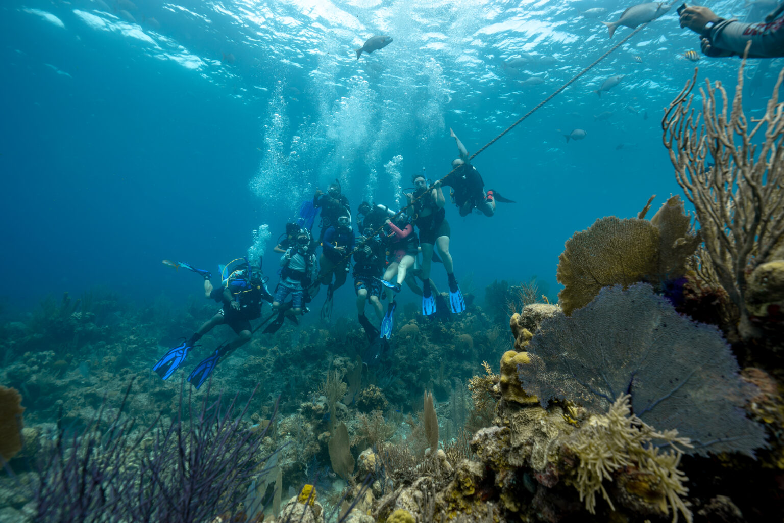 Why Divers Love PADI Club