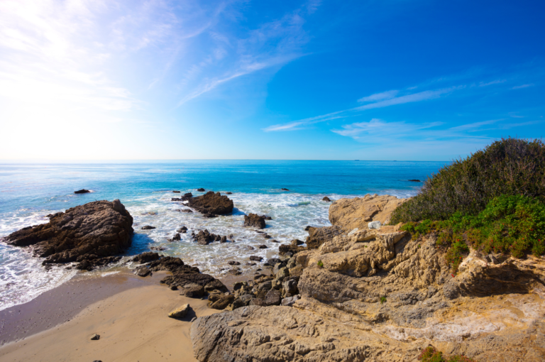 The Best Places To Go Scuba Diving in California