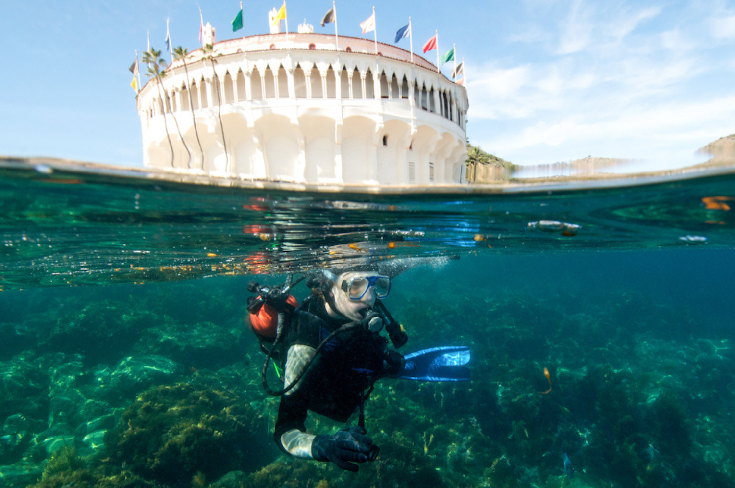 The Best Places To Go Scuba Diving in California