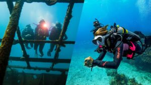 Introducing PADI eLearning Bundles