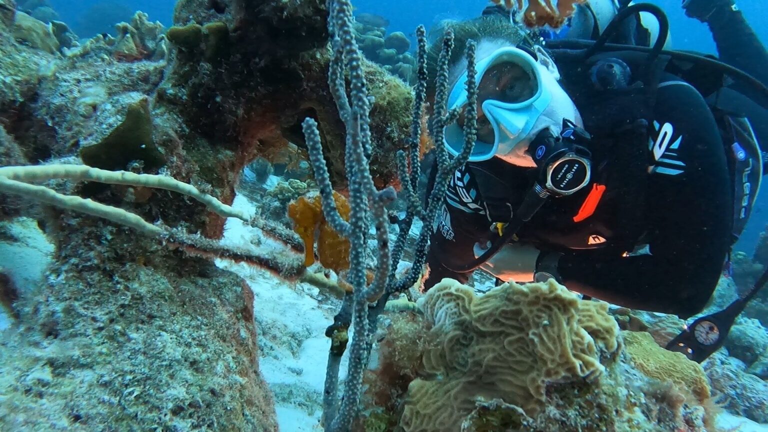 Los 10 mejores destinos de viajes de buceo, recomendados por un equipo ...