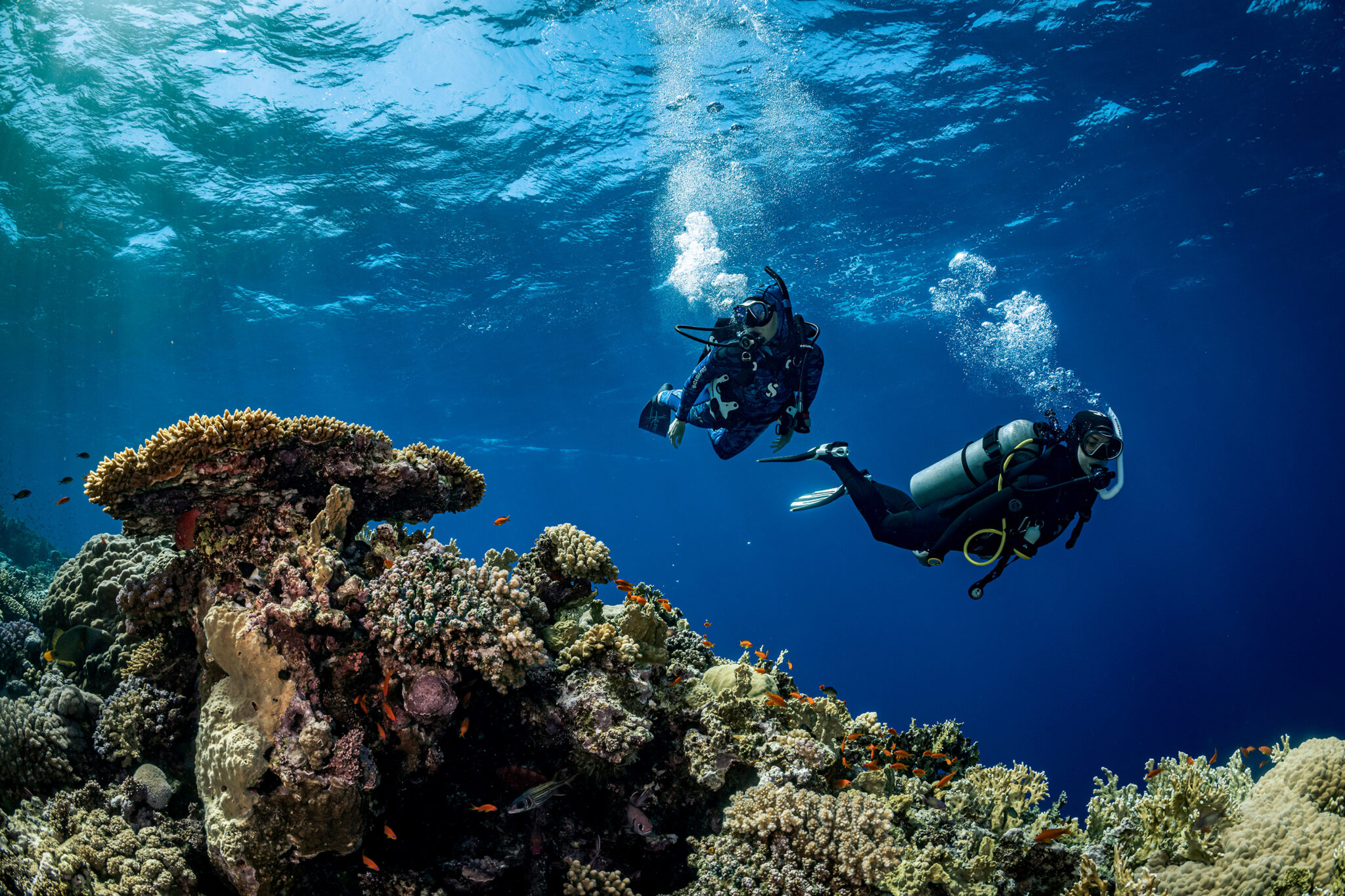 How to Give a Dive Trip as a Gift