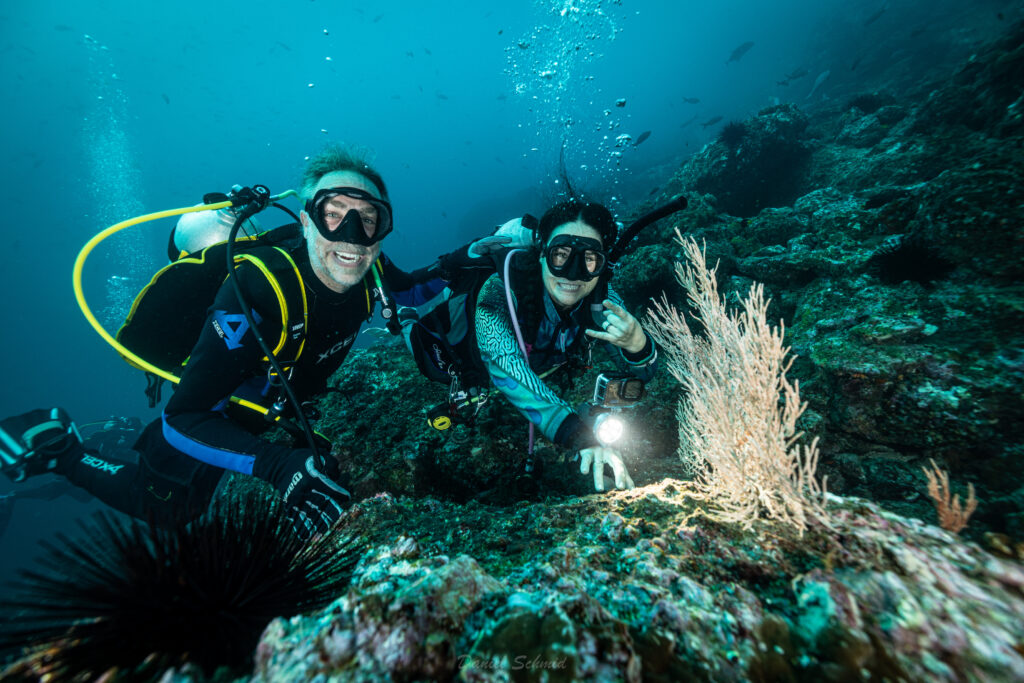 Top 10 Dive Travel Destinations Recommended by PADI Travel