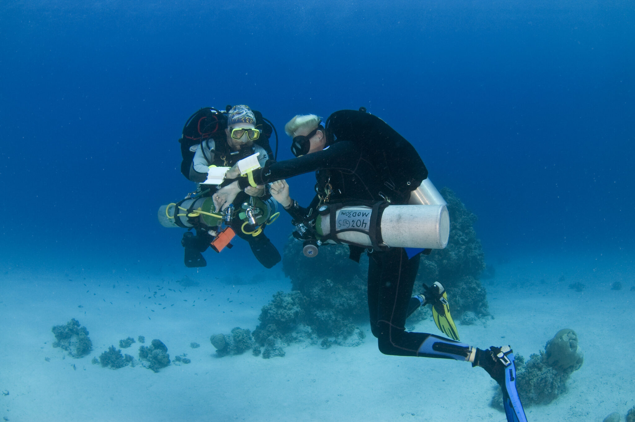 Tec Dossier - Jonas Samuelsson