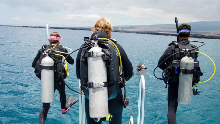 From Beginner to Pro: Open Water Diver to PADI Instructor