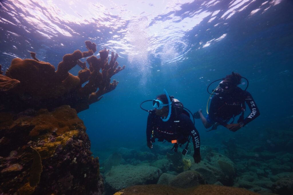 Tips for Scuba Diving in Poor Visibility