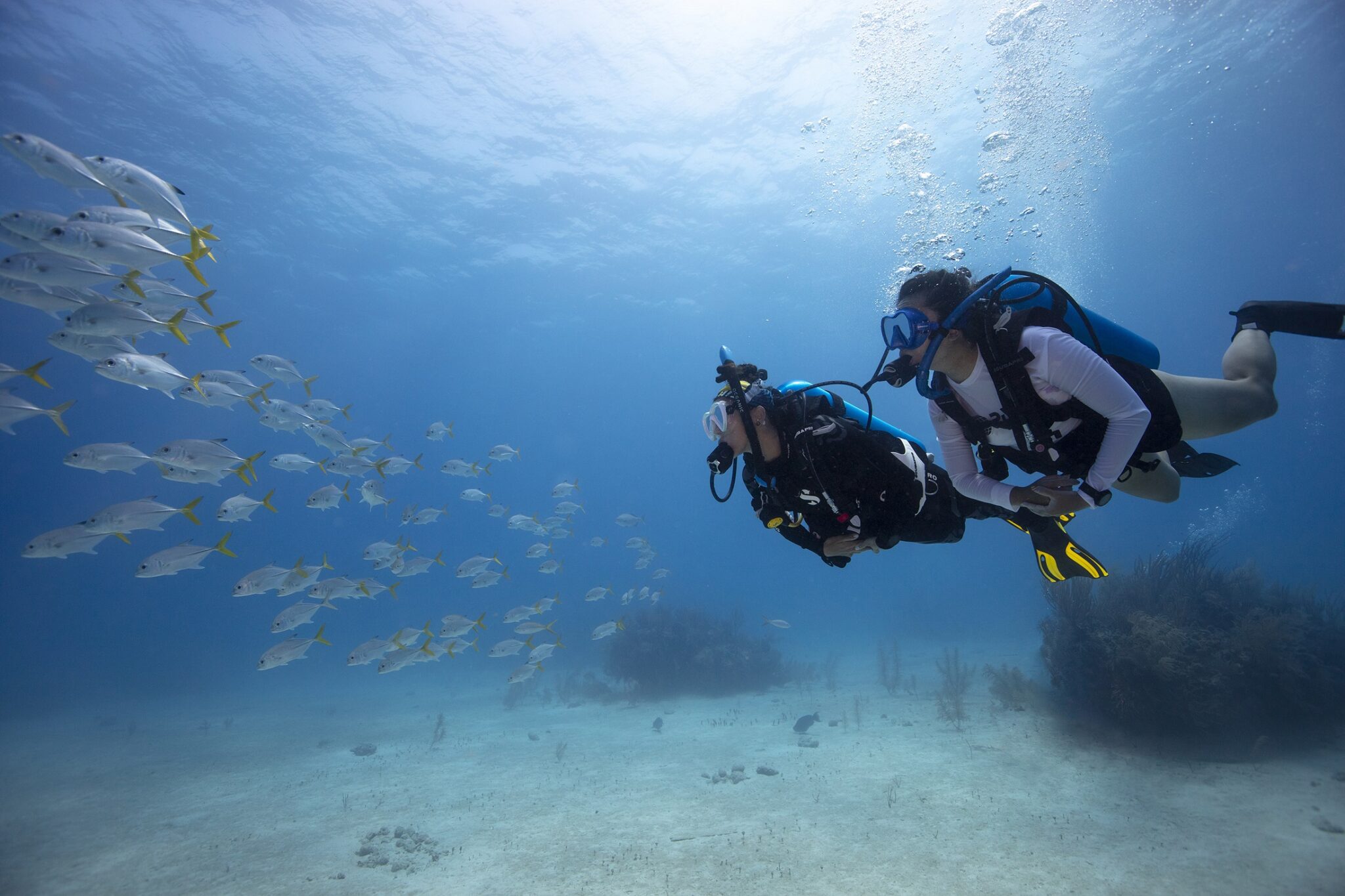 PADI's Core Courses | Open Water, AOW and Rescue