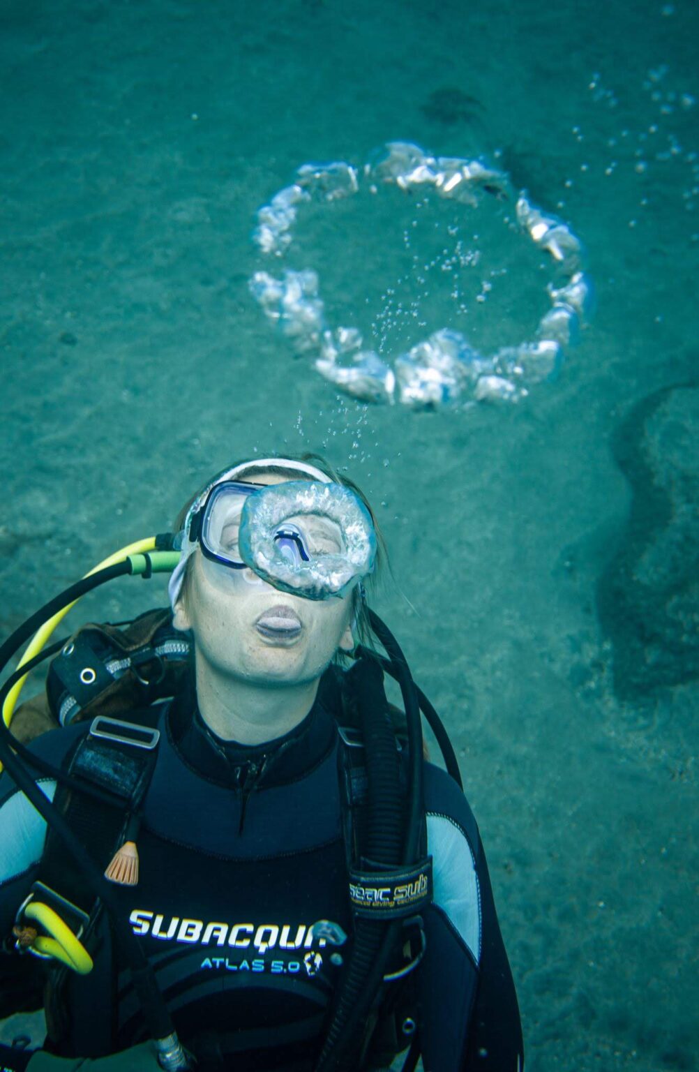 Swapping Work Suits for Wetsuits: My PADI Divemaster Adventure