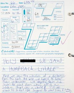 How to Log a Dive Using a Dive Log App or Diving Logbook