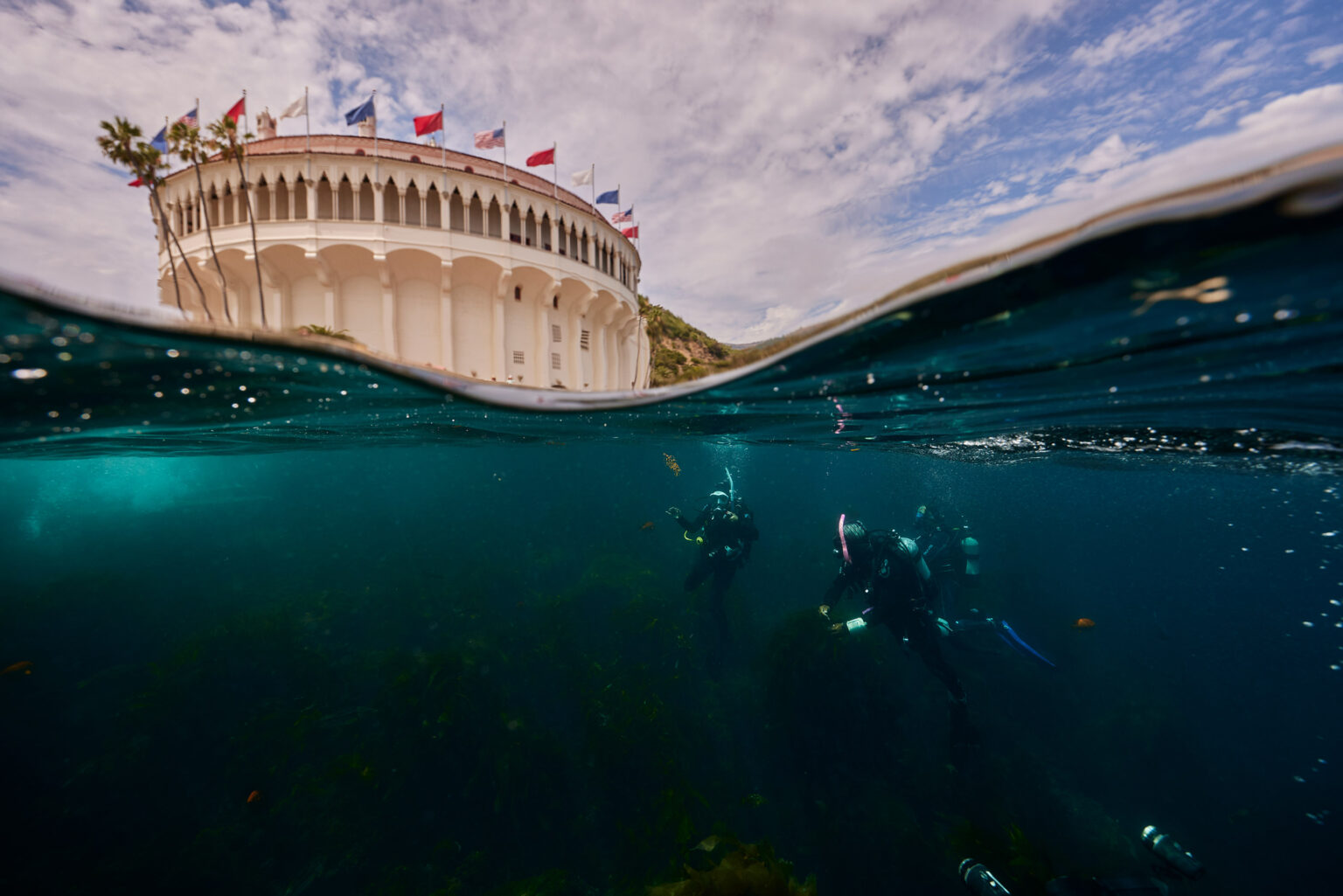 The Best Places To Go Scuba Diving in California