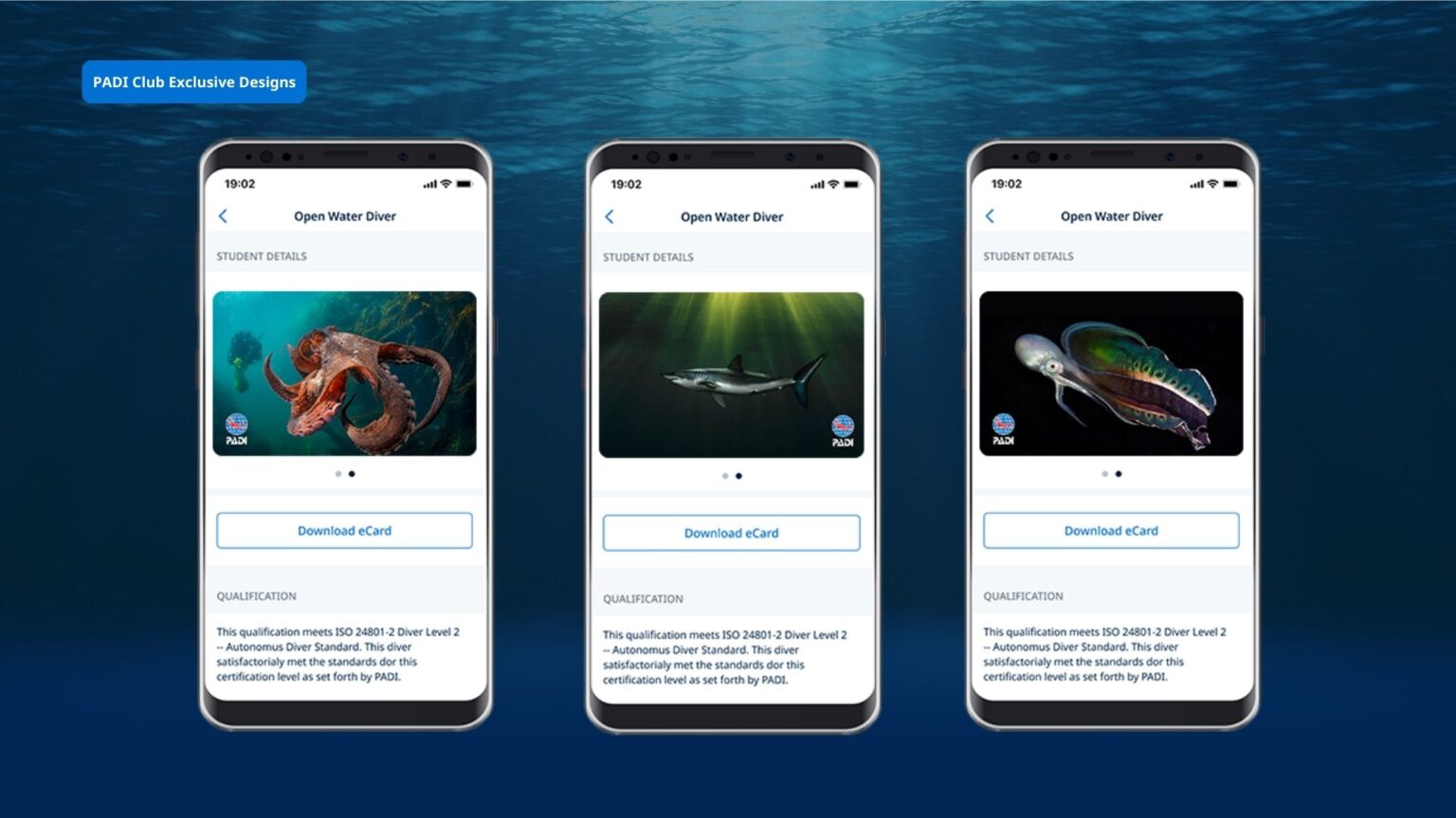 PADI Club Certification Card Benefits: Everything You Should Know