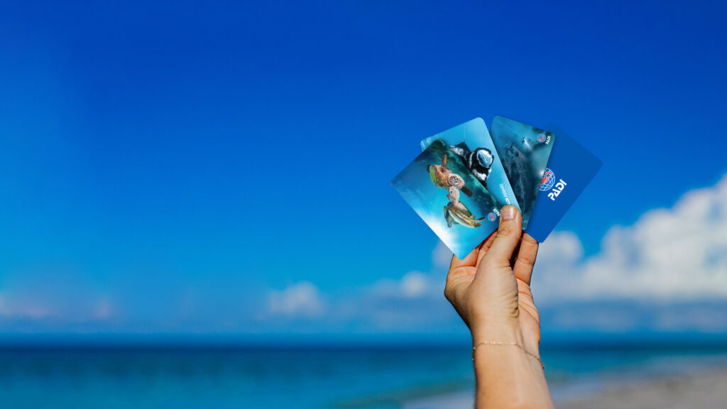 PADI Club Certification Card Benefits: Everything You Should Know