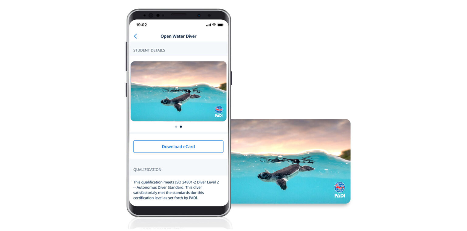 How Long Does It Take to Get a Scuba Diving License?