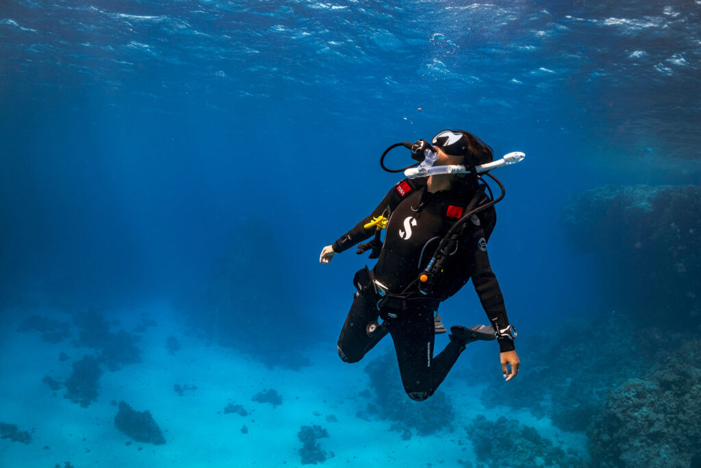What Is PADI?