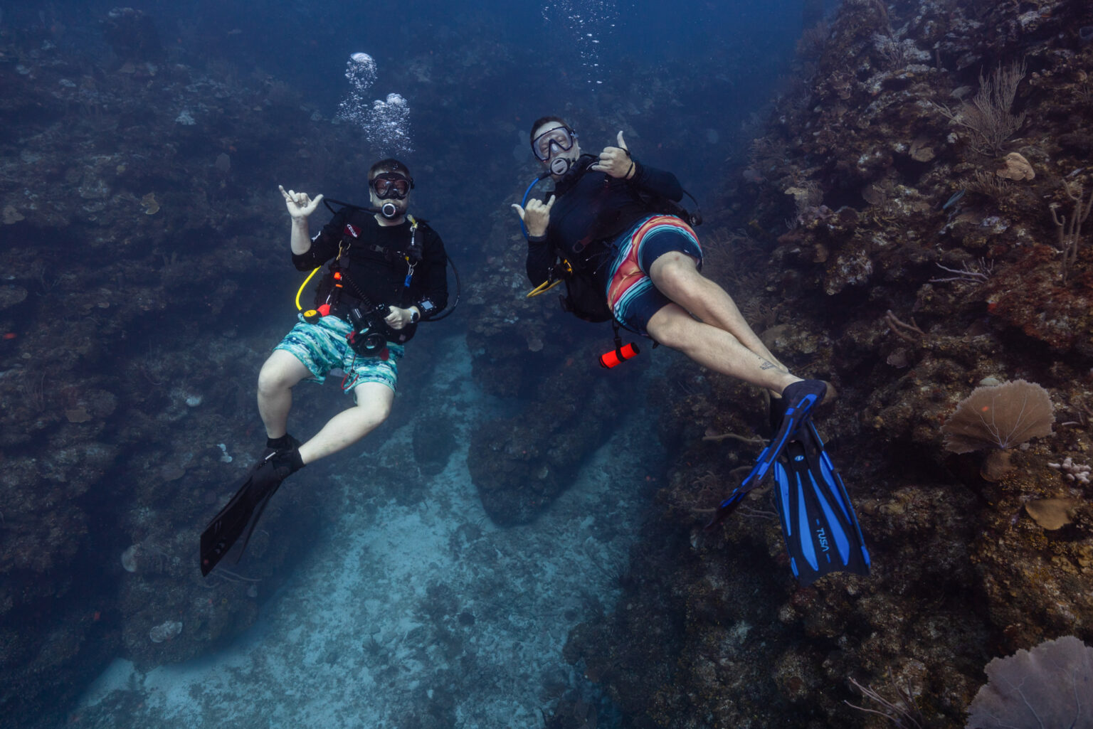 PADI Club: A comunidade ideal para o futuro mergulhador