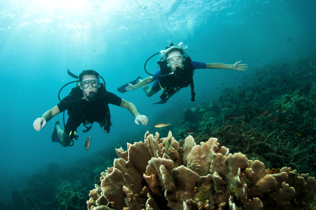 Discover Scuba Diving vs. Open Water Diver
