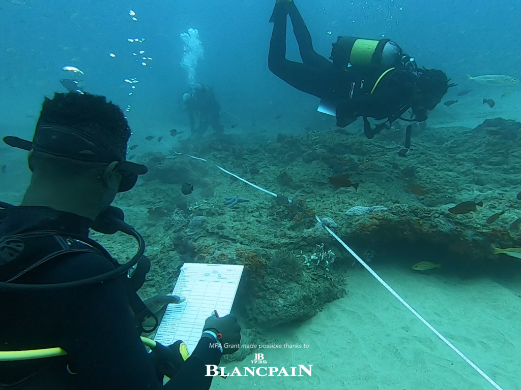 The 2025 PADI AWARE Foundation Community Grant Recipients