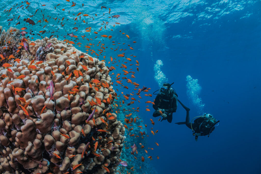 10 Fun Facts About Coral Reefs