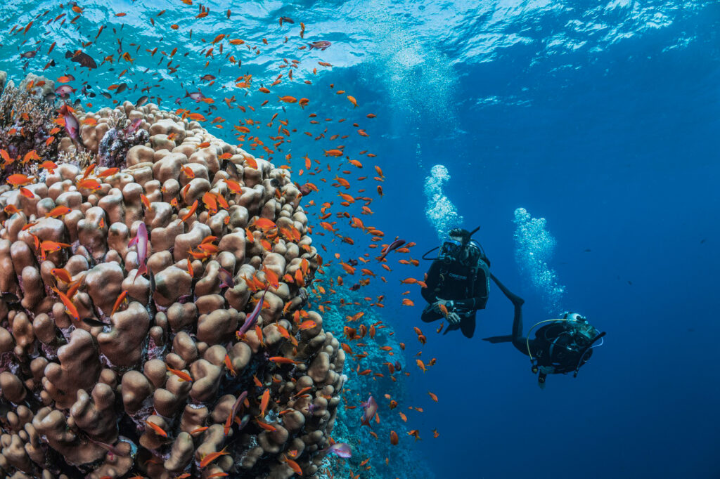 Join Us at Europe's Biggest Dive Shows in 2025