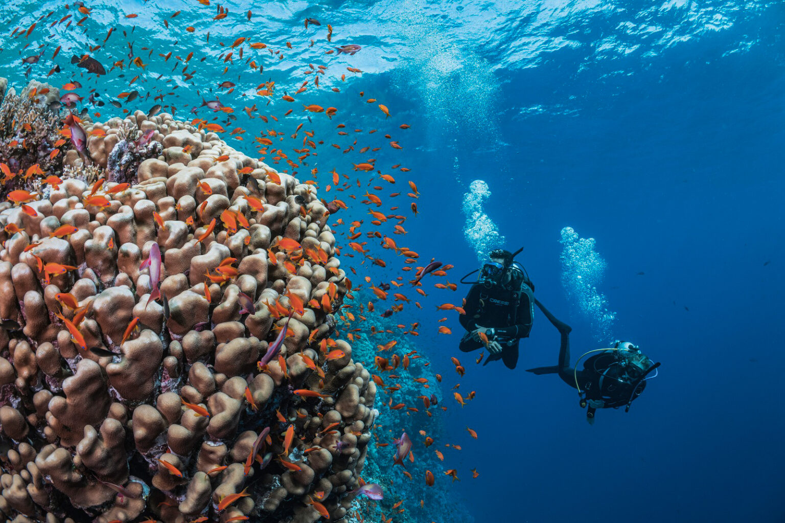 Join Us at Europe's Biggest Dive Shows in 2025