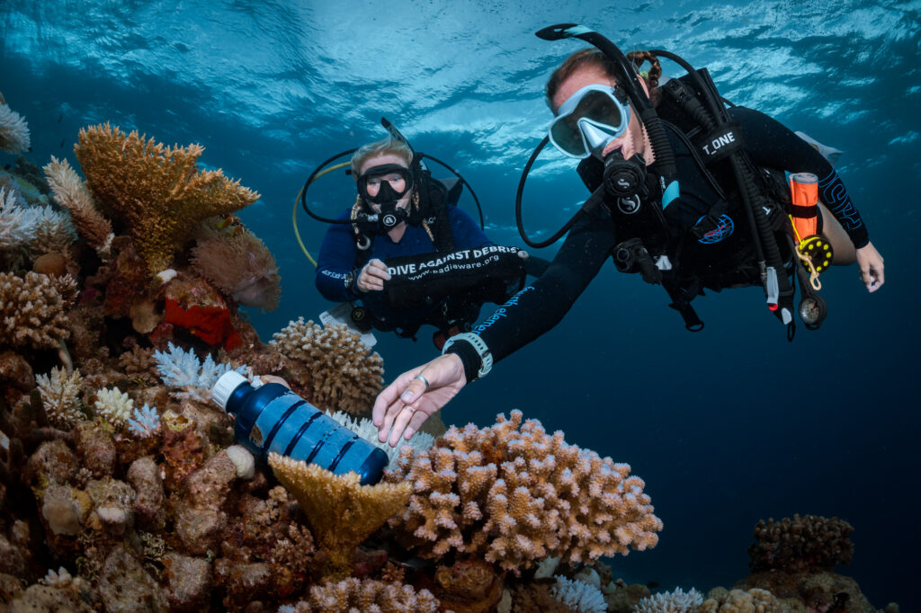 Citizen Science Diving Makes a Big Difference
