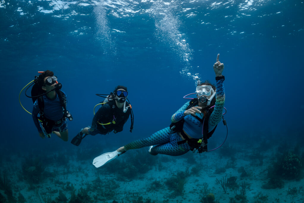 Preguntas frecuentes sobre PADI Pro