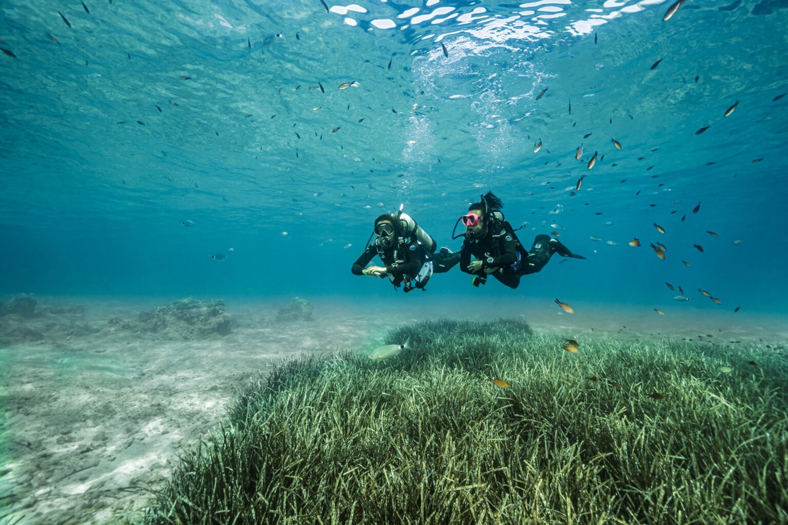 Join Us at Europe's Biggest Dive Shows in 2025