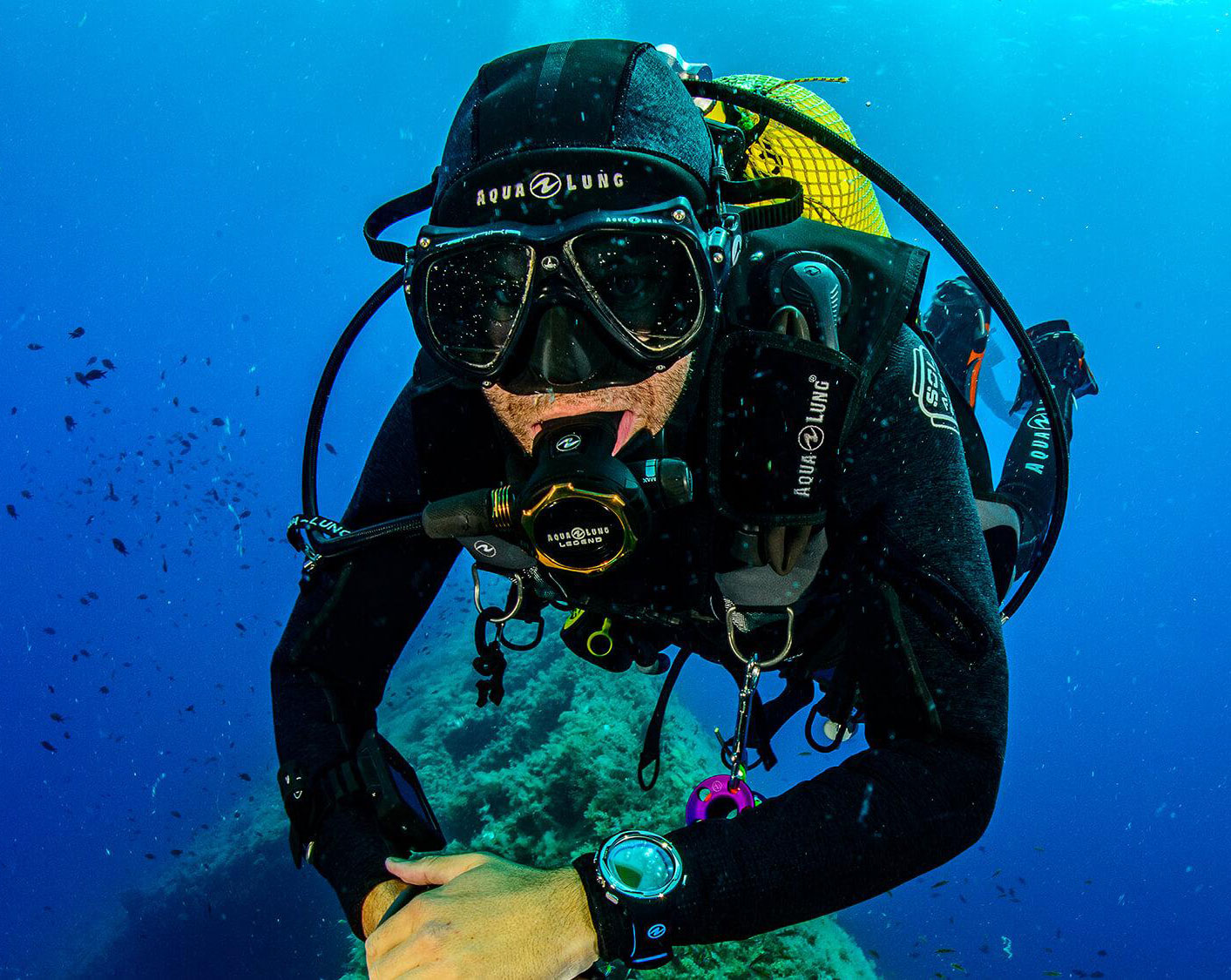 100 Reasons to Become a PADI Pro