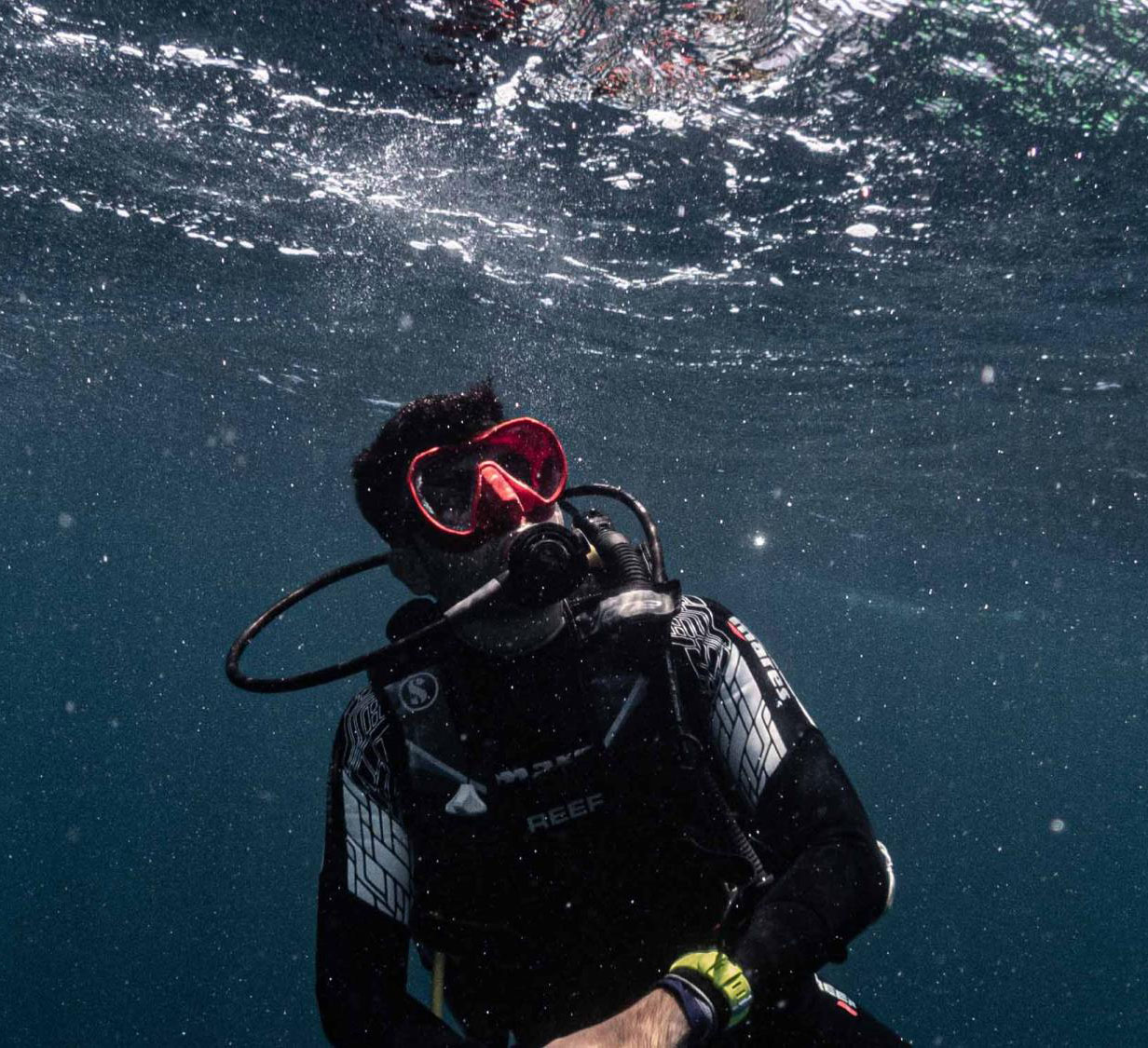 100 Reasons to Become a PADI Pro