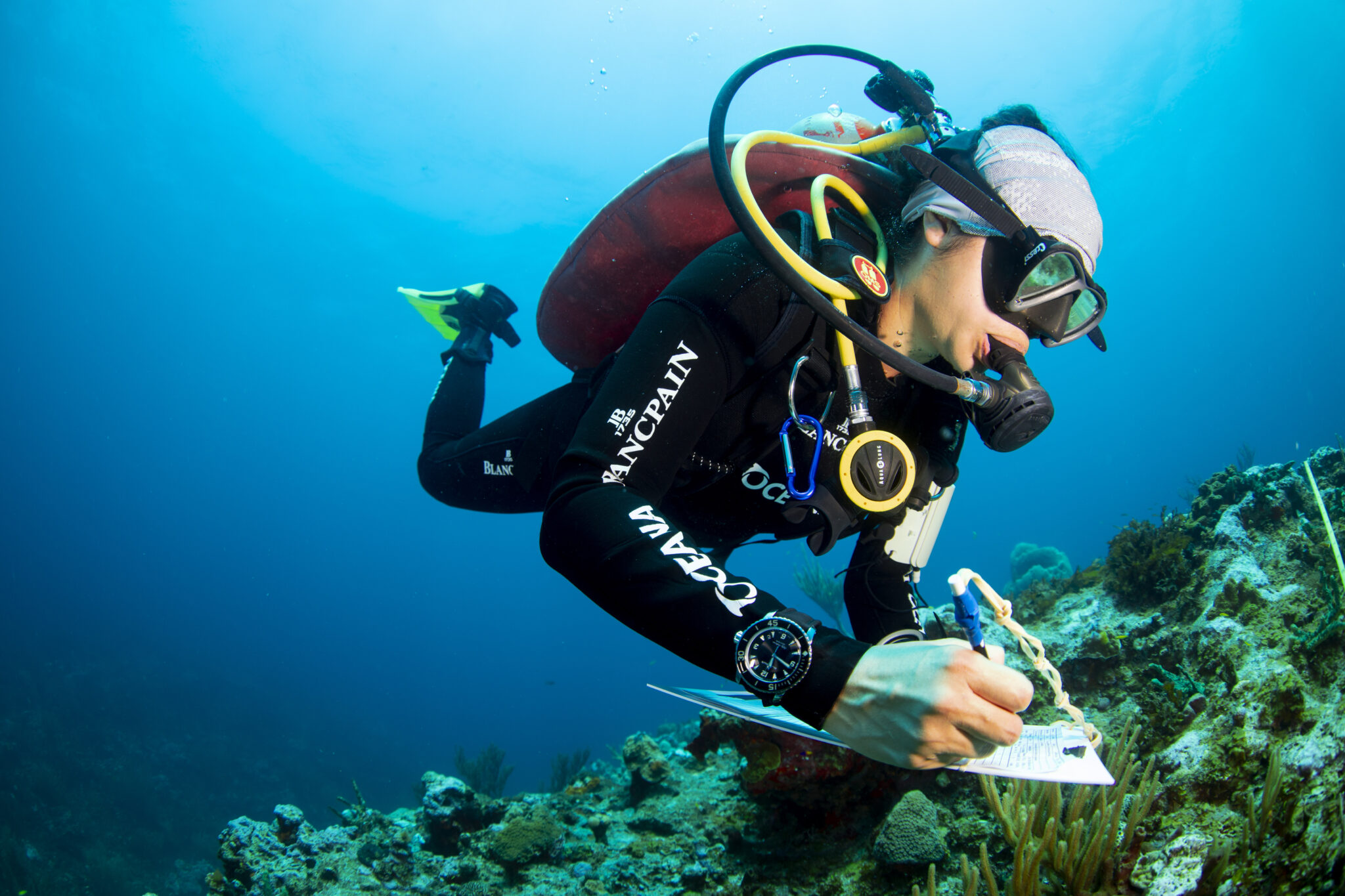 Preserving Our Oceans: How PADI and Blancpain Are Turning Hope into Action