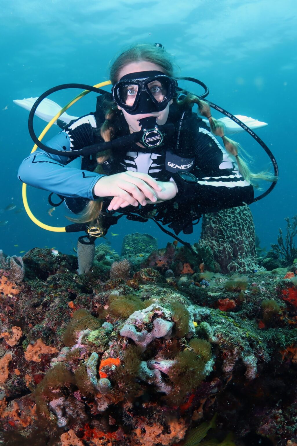 Introducing the New 2025 PADI AmbassaDivers