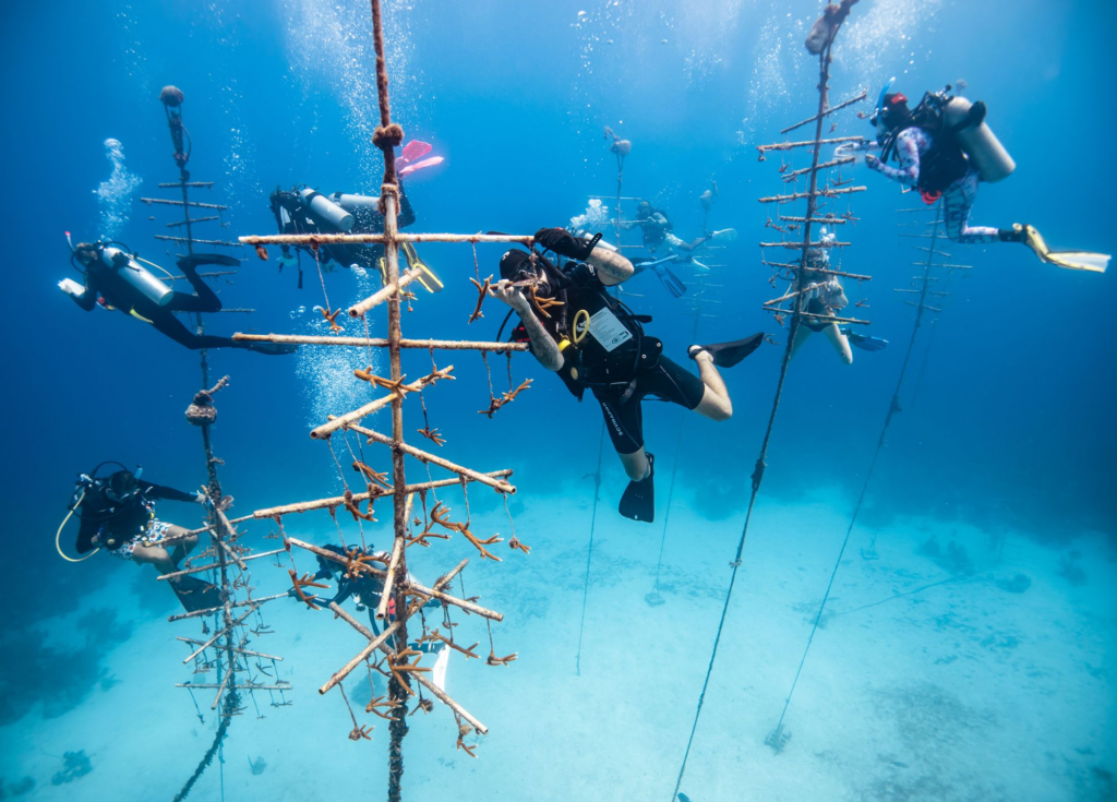 Ocean Conservation Activities in Honduras