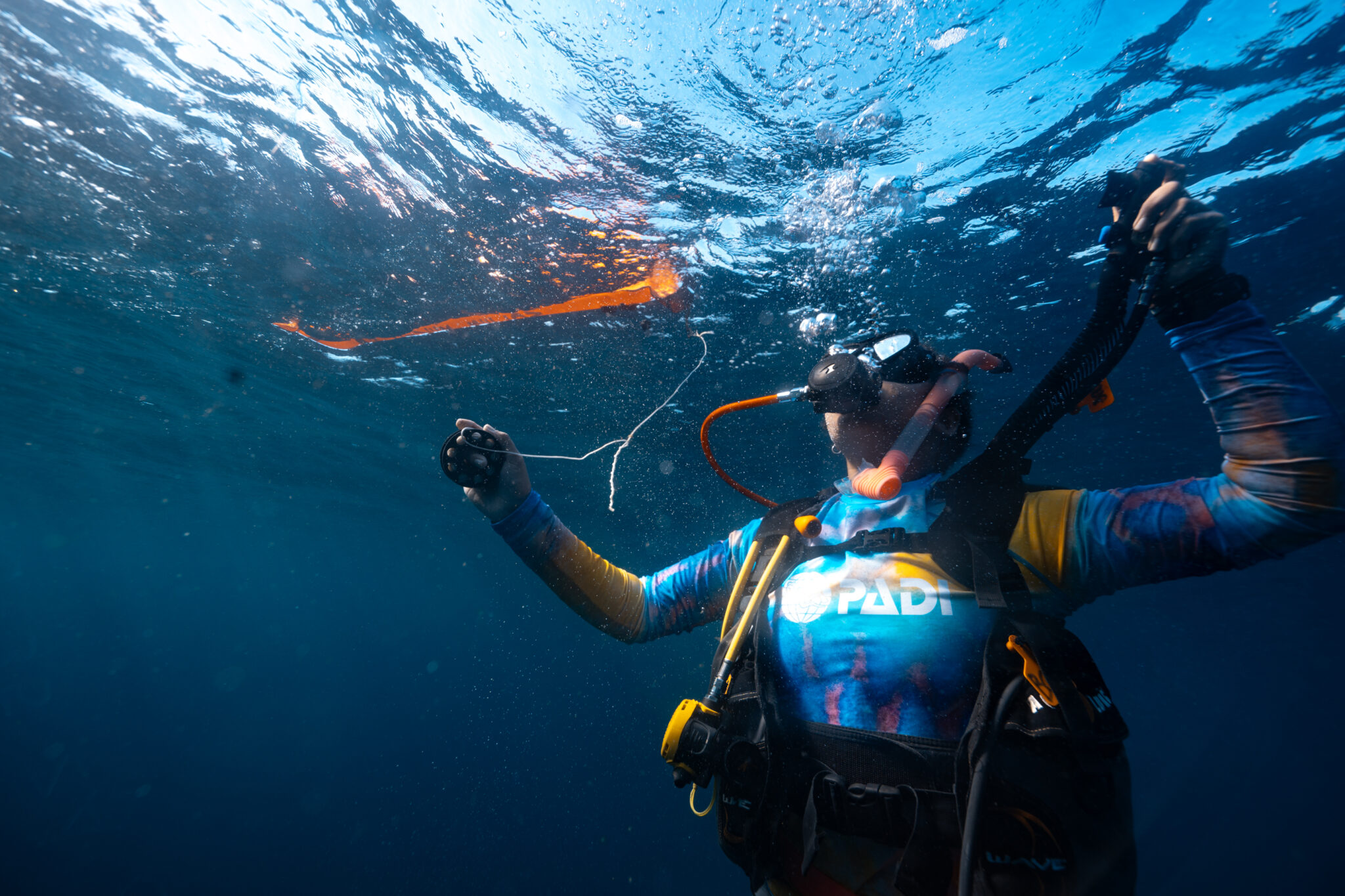 Por qué y cómo pasar a PADI