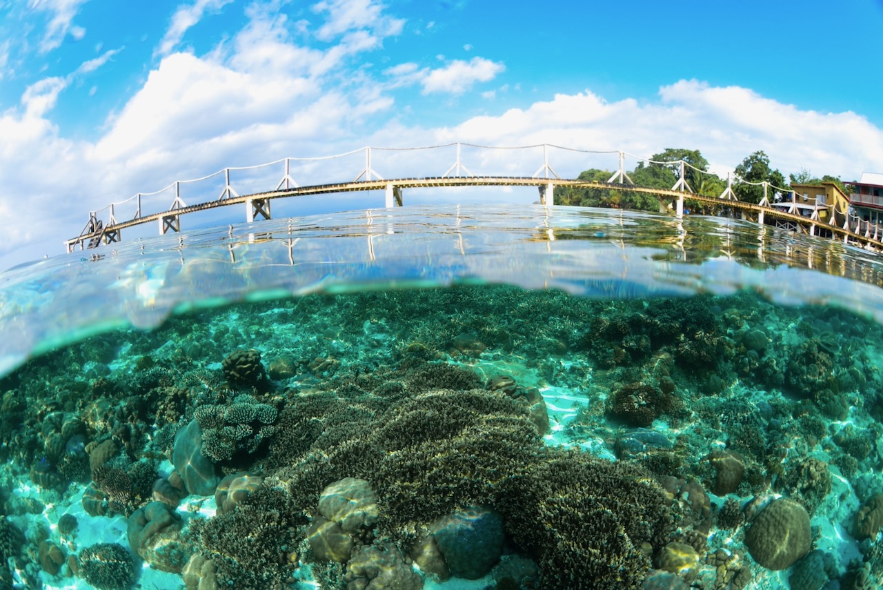Diving in Gizo: A Hidden Gem of the Solomon Islands