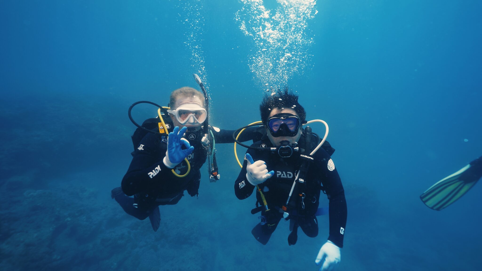 Huang Bo, PADI CEO Drew Richarson and 50 PADI Divers Plant Corals in ...
