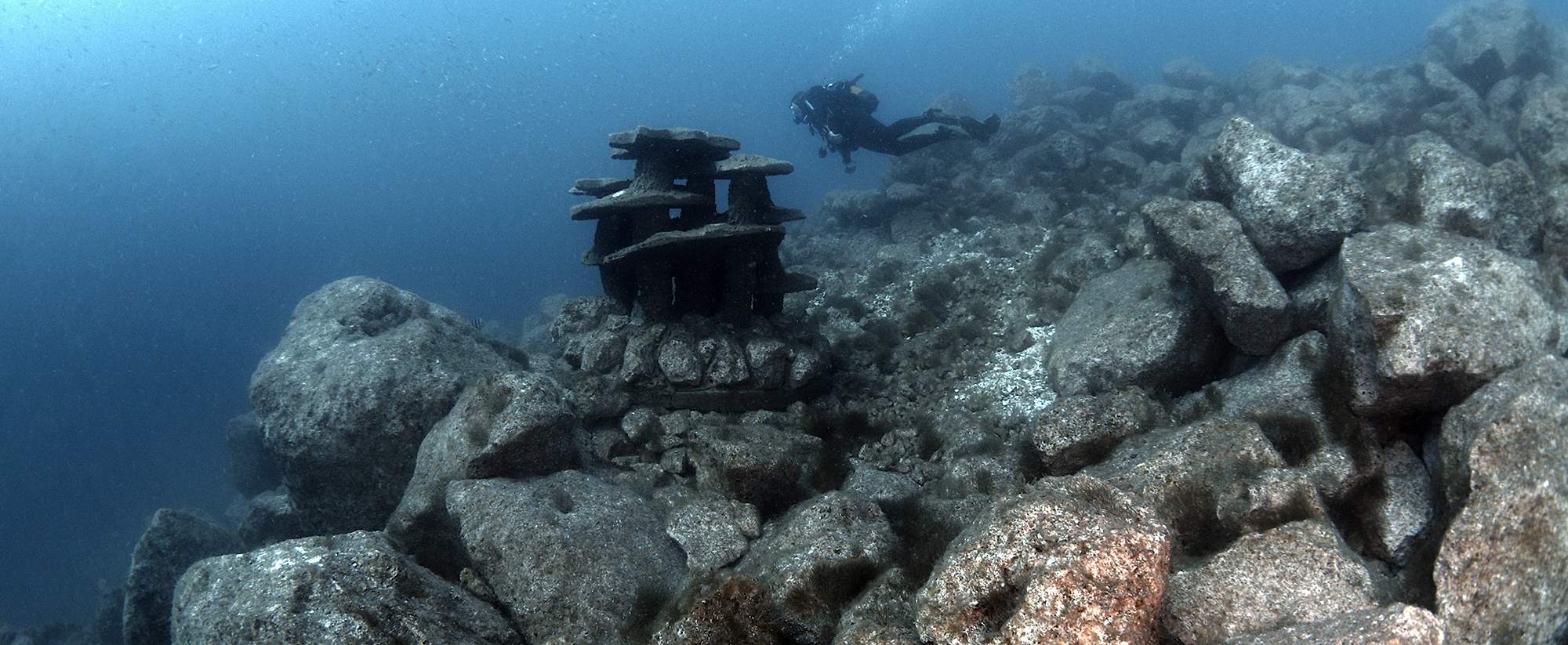Max Rota: Restoring the Ocean with Natural Art Reef Structures