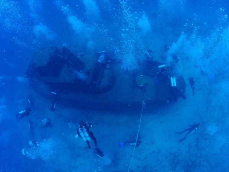 The Best Time To Dive in Brazil