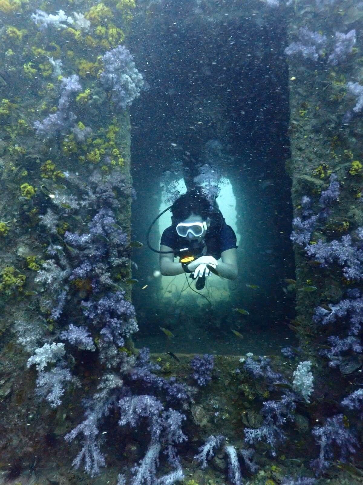 Introducing the 2025 PADI Junior AmbassaDivers